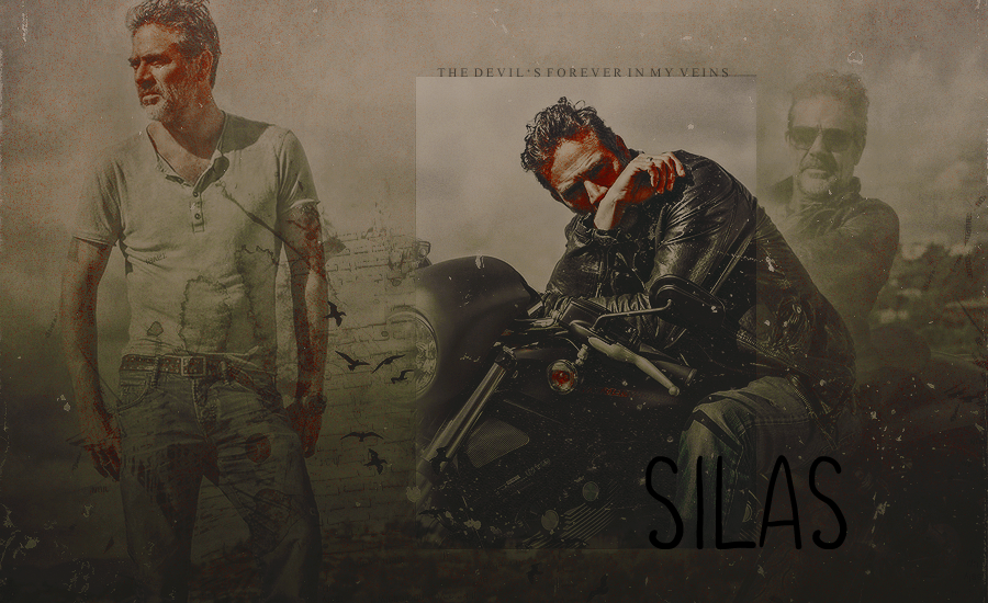K I T T E N - silas - CIA Gallery